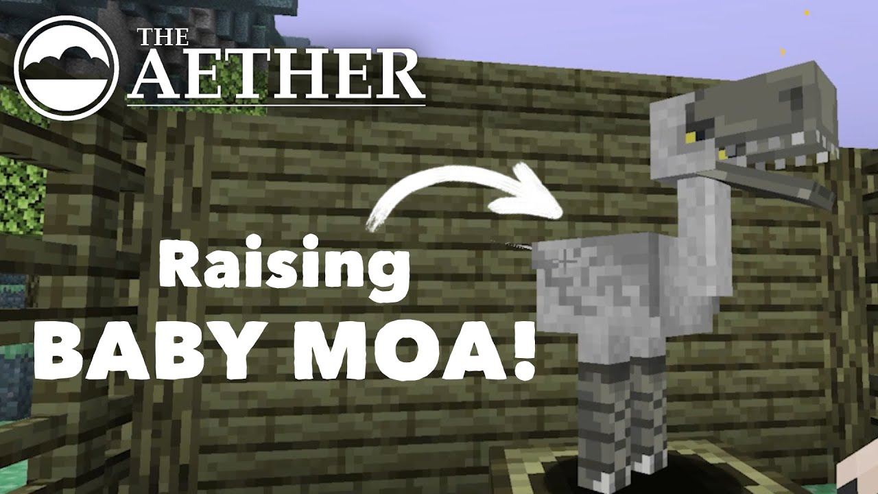 Hatching our first MOA || Minecraft Aether Let's Play #5 - YouTube