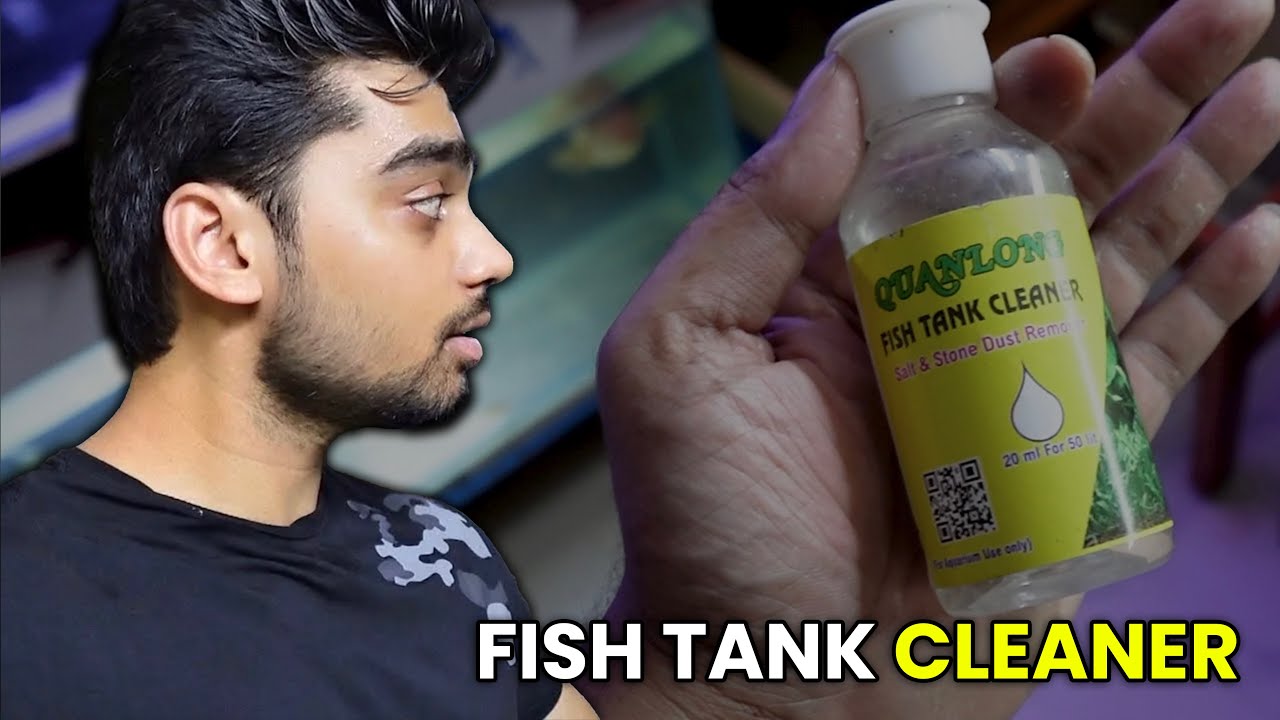 Secret Trick to Clean Aquarium Glass Stains FAST | Fish Update 🐟🔥 - YouTube