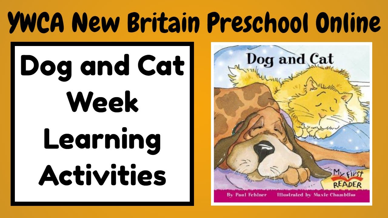 Cat And Dog Week Learning Activities - YouTube