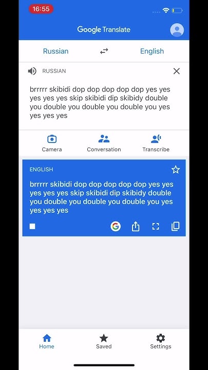 Google translate sings brr skibidi dop - YouTube