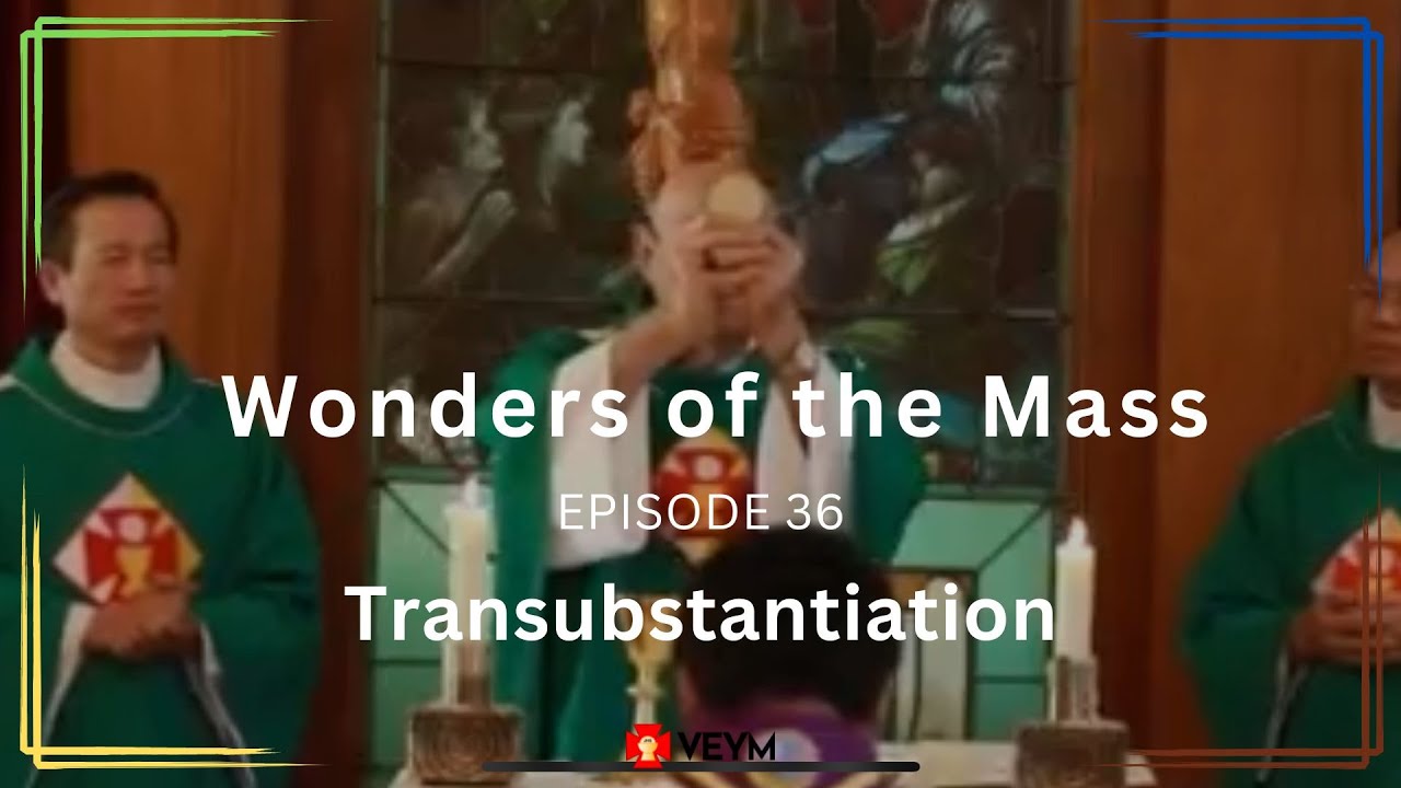 Wonders of the Mass (Episode 36): Transubstantiation - YouTube