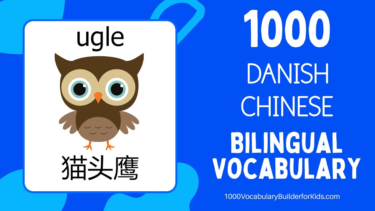 Learn Danish Chinese 1000 Bilingual Vocabulary for Beginners Lære Dansk ...