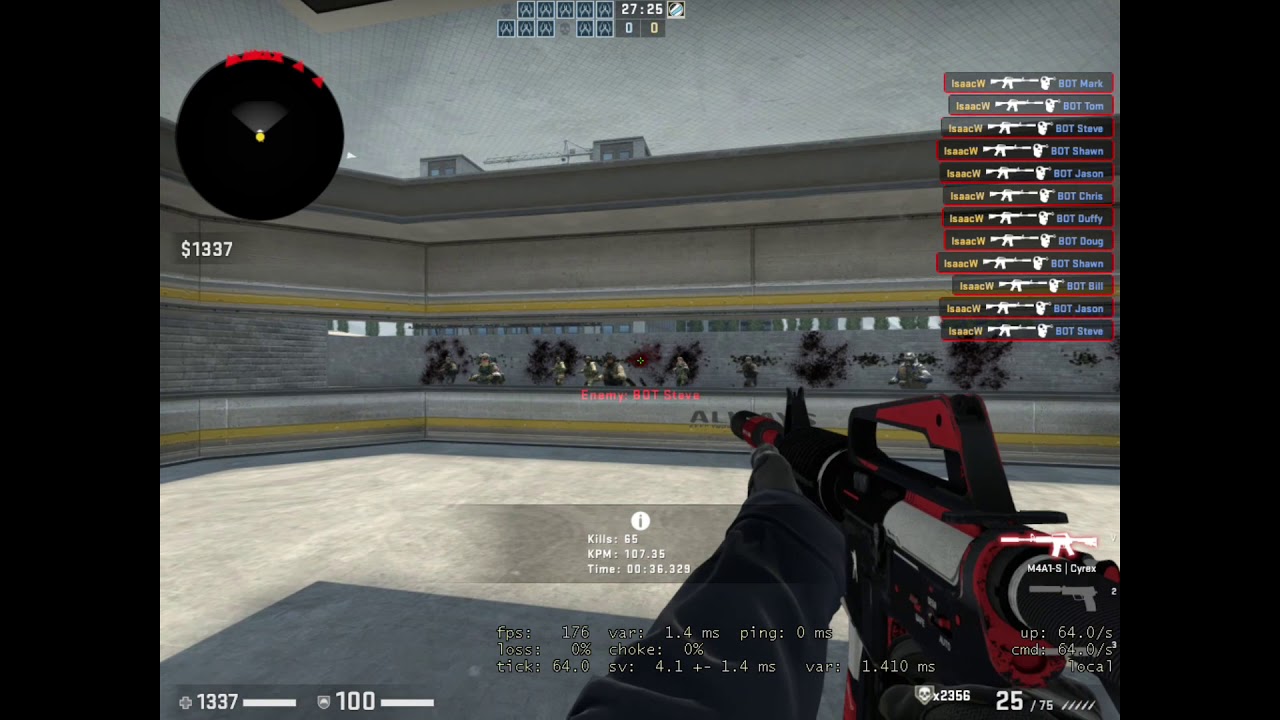 Aim Botz record attempt #1 - YouTube