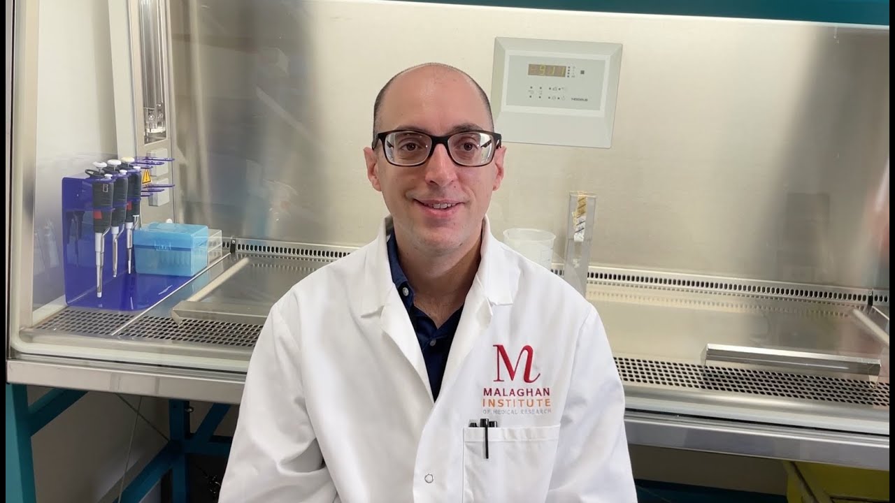 In Focus: How gene-editing technology is pushing the boundaries of ...