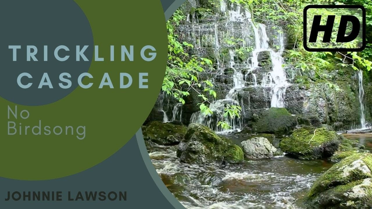 Forest Waterfall Nature Sounds - Trickling Cascade - HD Version ...