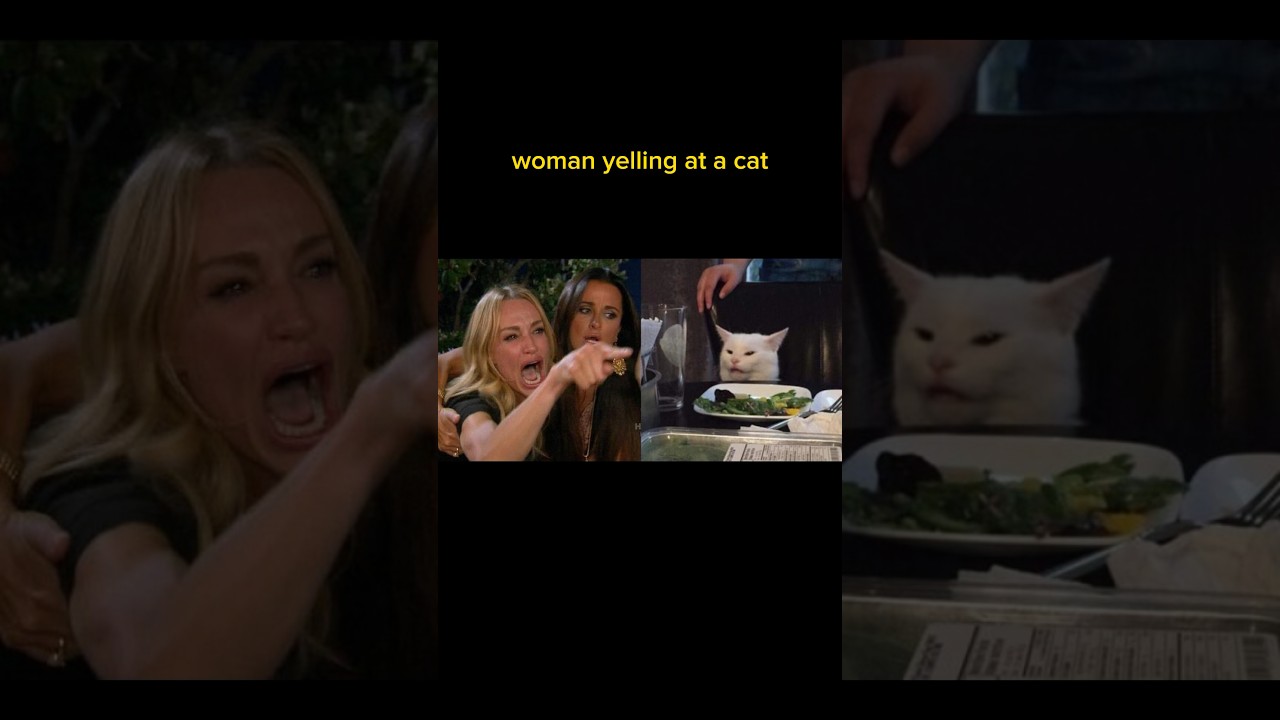 The Story of “Woman yelling at a Cat” meme - YouTube