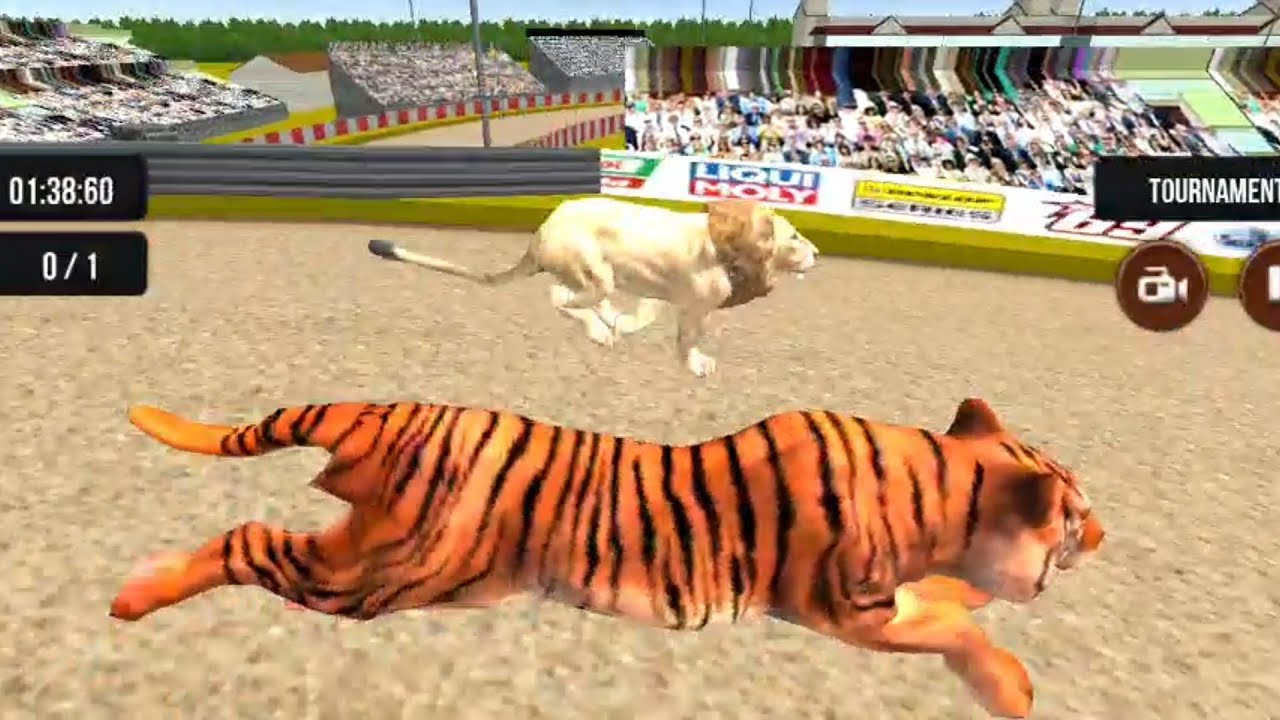 Wild Lion Racing Fever : Animal Race PART #1 | Lion Hunt Horse Game ...