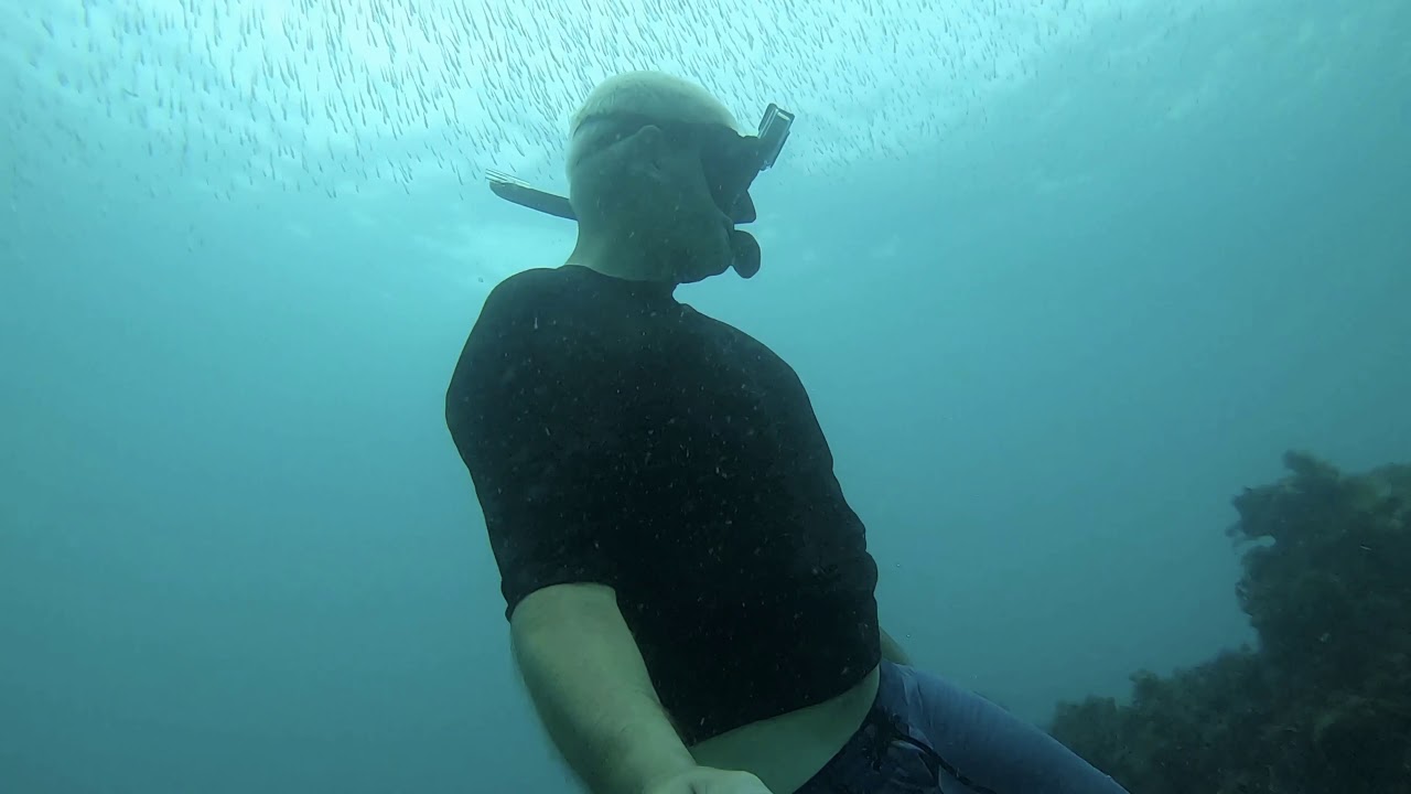 Freediving northmole wreck and robbs jetty - YouTube