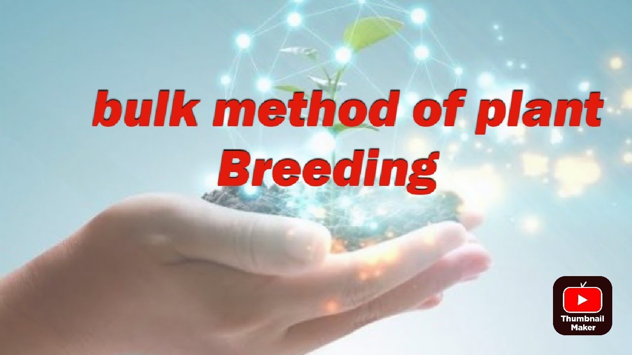 bulk method plant Breeding /method of handling segregation generation ...