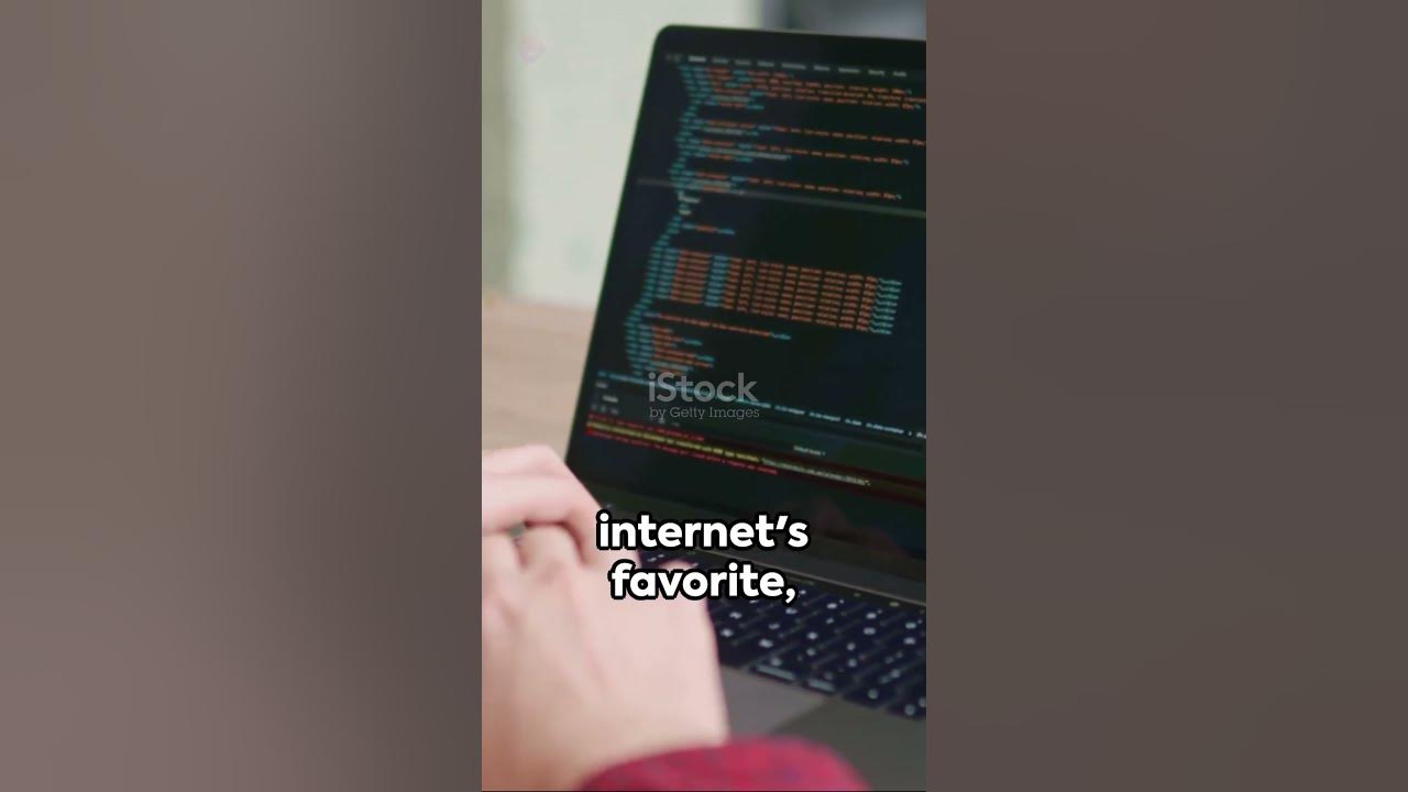 Top 5 Programming Languages for Freshers in 2024 | #programming #2024 # ...