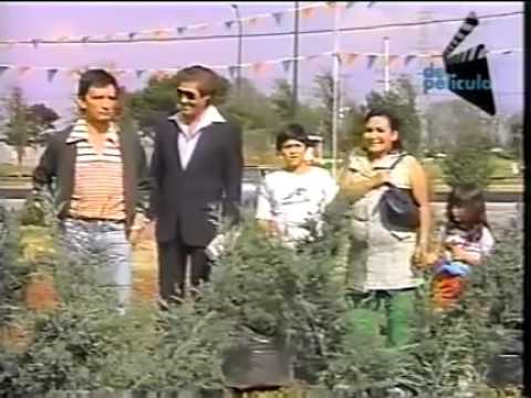 Mexicano ¡Tu Puedes!