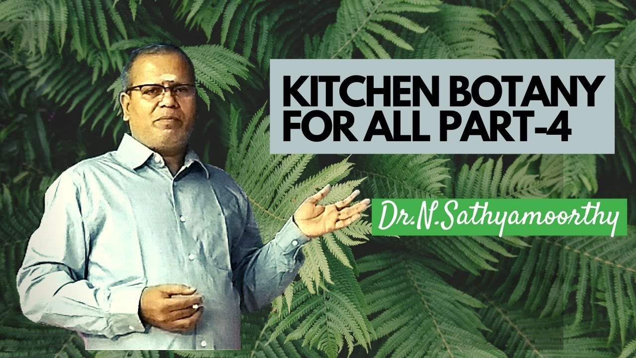 KITCHEN BOTANY FOR ALL -PART-4 - YouTube