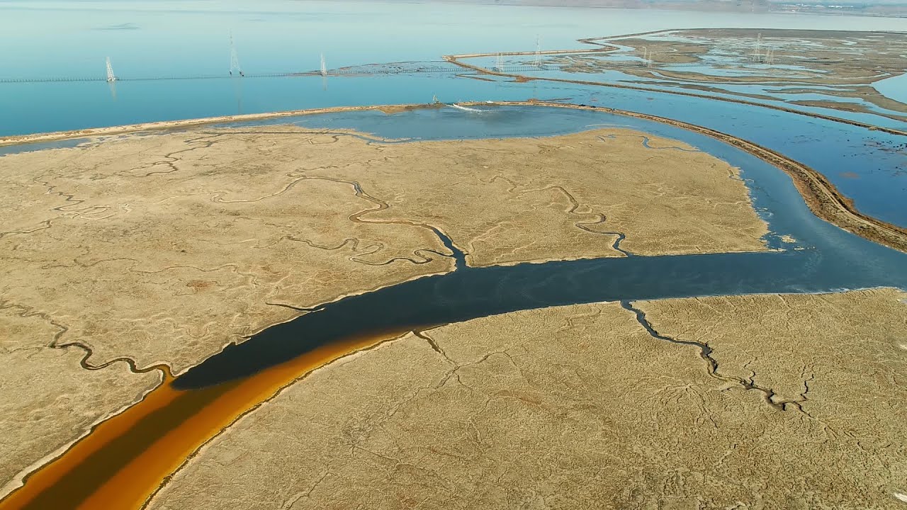 Bay Area Restoration Project: Workers breach dirt levee to make 300 ...