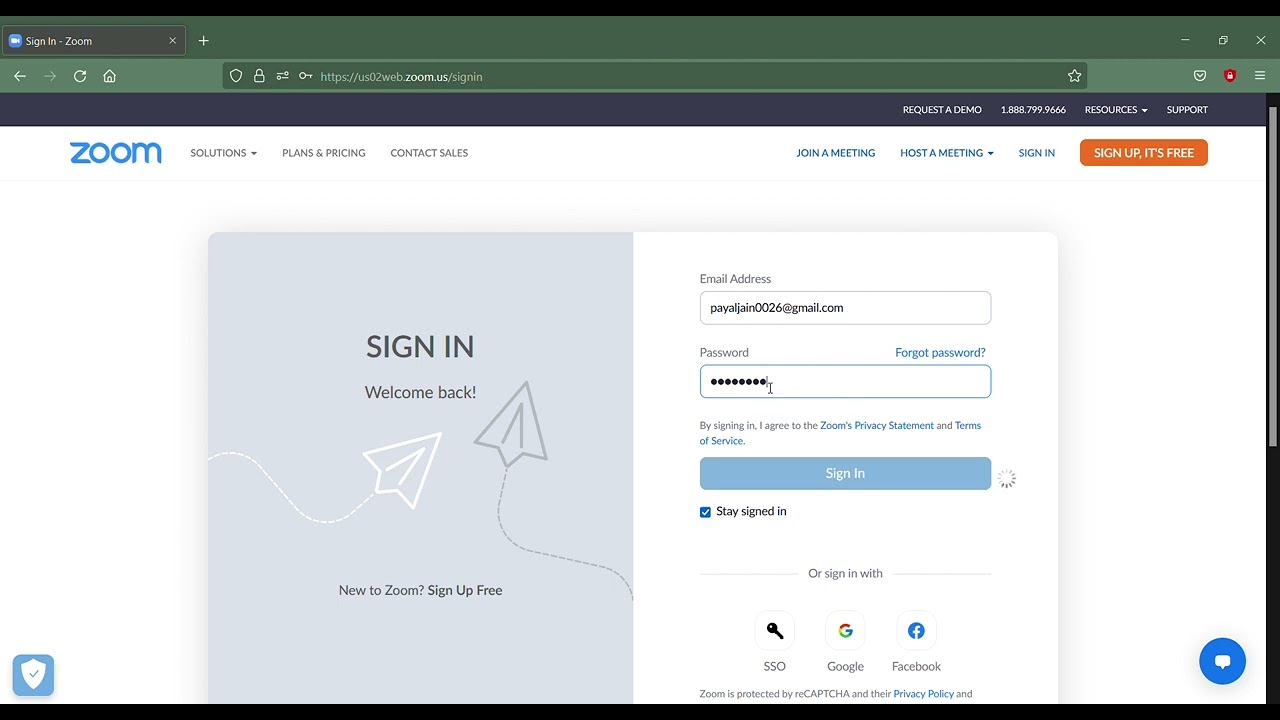 How to purchase zoom plan - YouTube