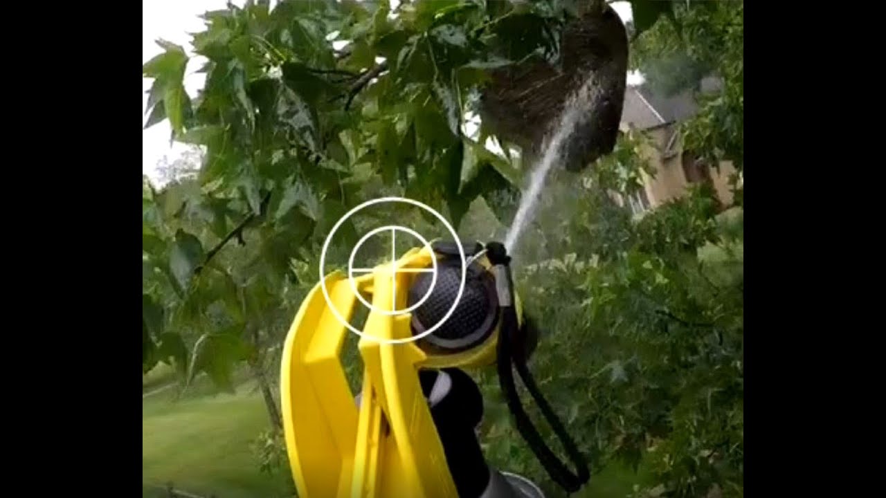 Wasps Go Crazy Attacking The Gotcha Sprayer Pro Adapter As I Spray ...
