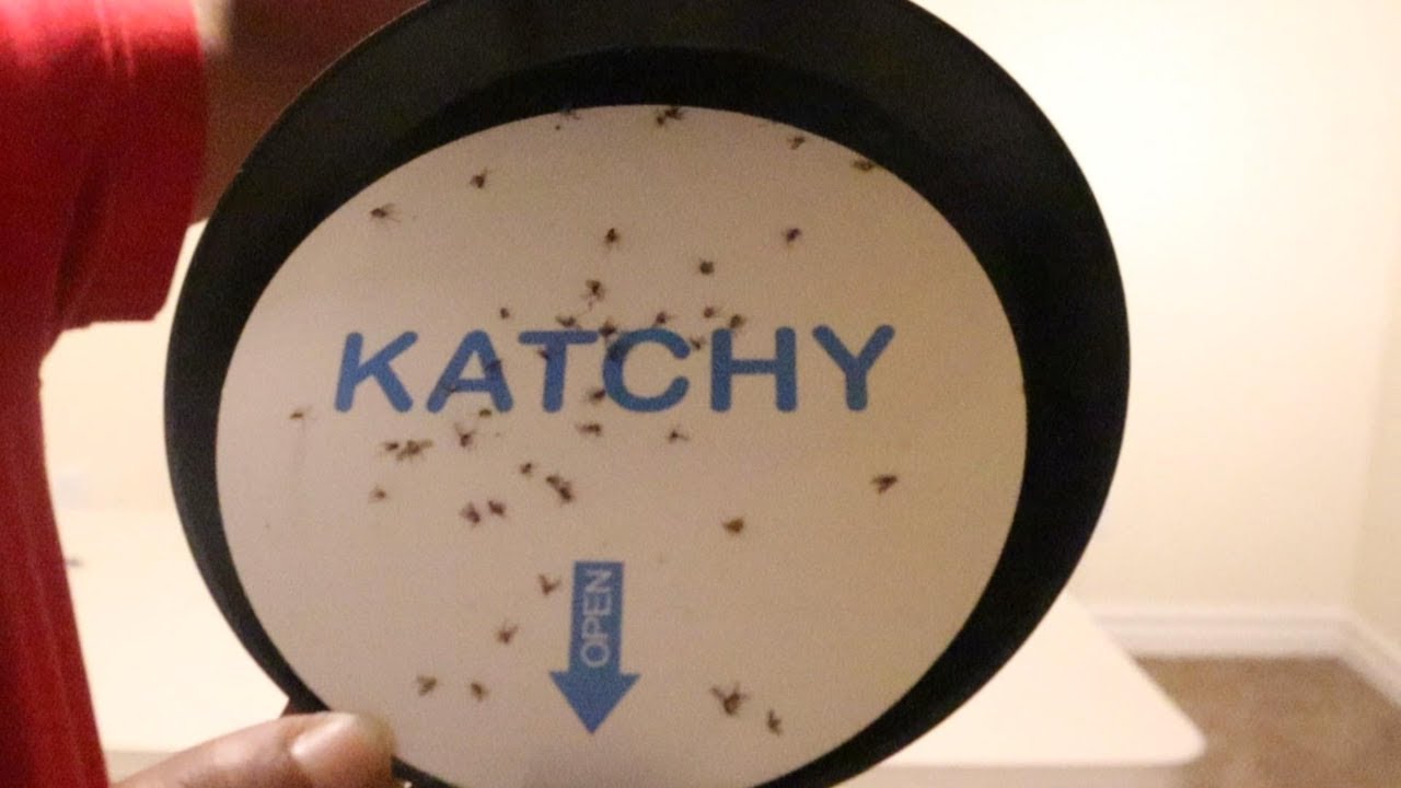 Katchy Indoor Insect Trap Review With UV Light, Fan And Sticky Glue ...