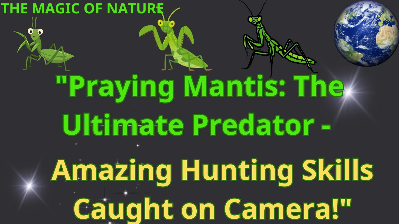 "Praying Mantis: The Ultimate Predator | Amazing Hunting Skills Caught ...