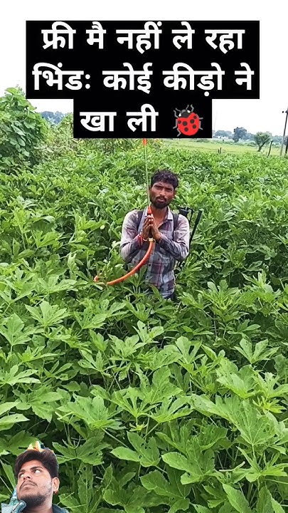 #comedy #kishan #funny #123kishan #kisan #farming #agriculture #voiceeffects #duet #fouryoupage ...