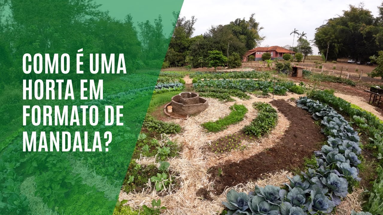 Surpreenda-se Com a Mandala de Horta no Museu da Cana! - YouTube