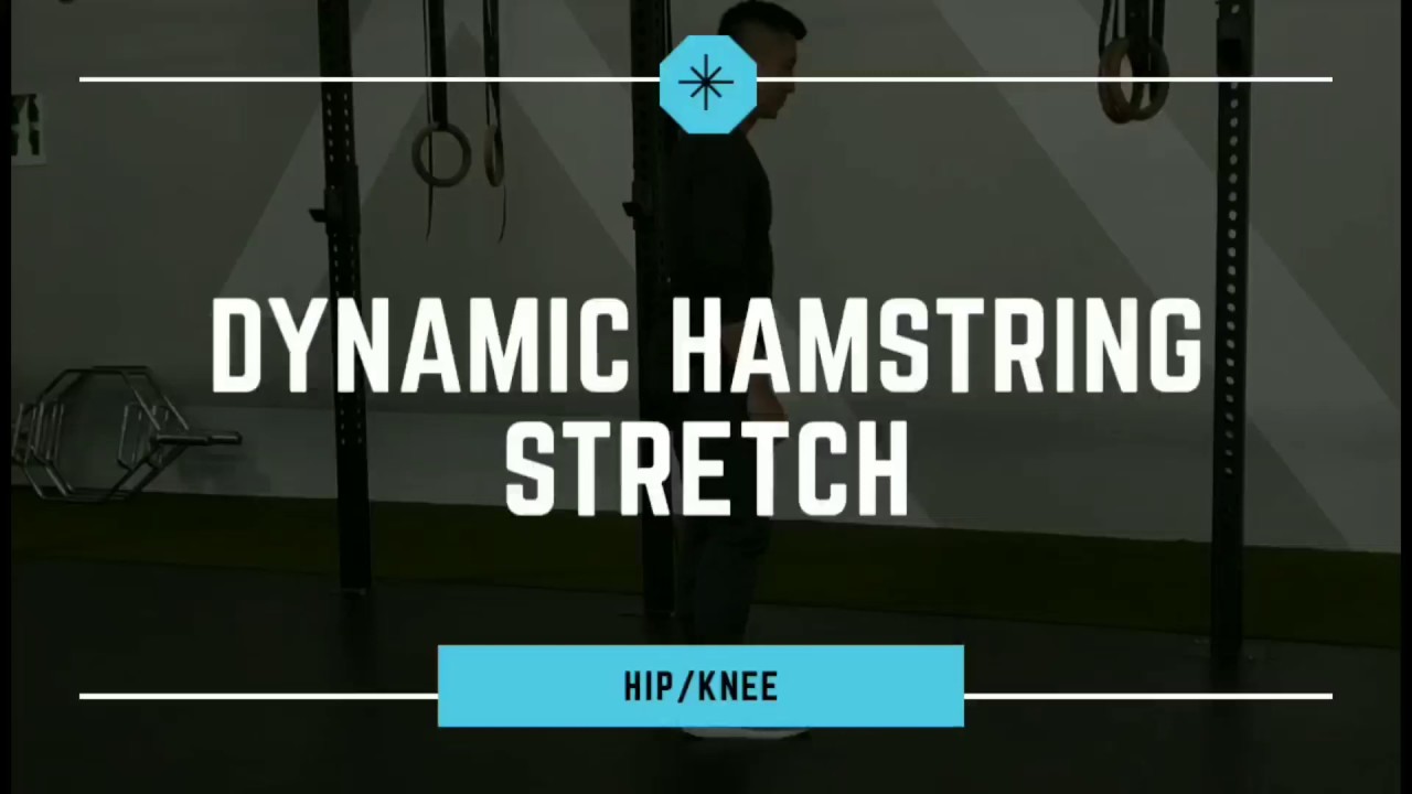 Dynamic Hamstring Stretch | Hip & Knee Mobility - YouTube