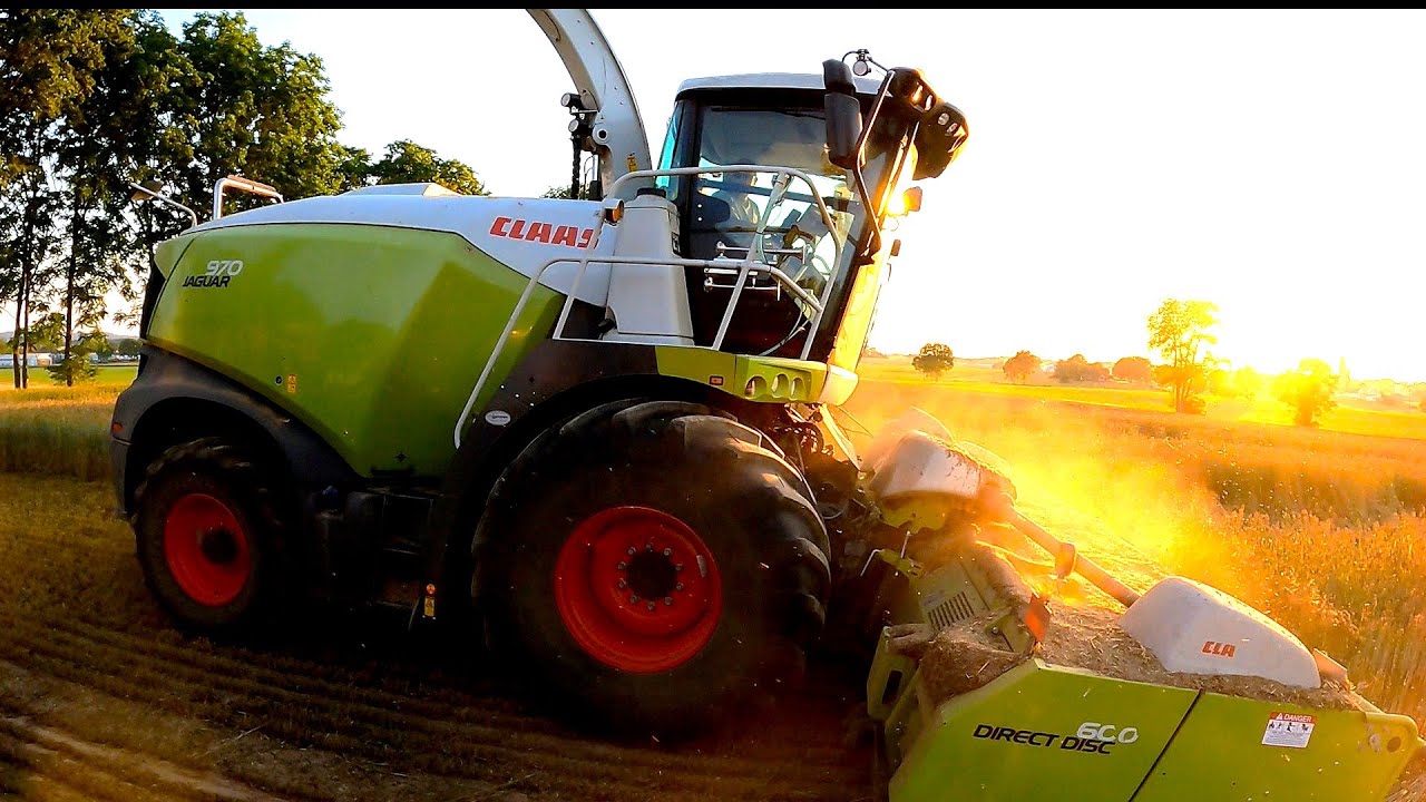Chopping our Barley for Forage - YouTube