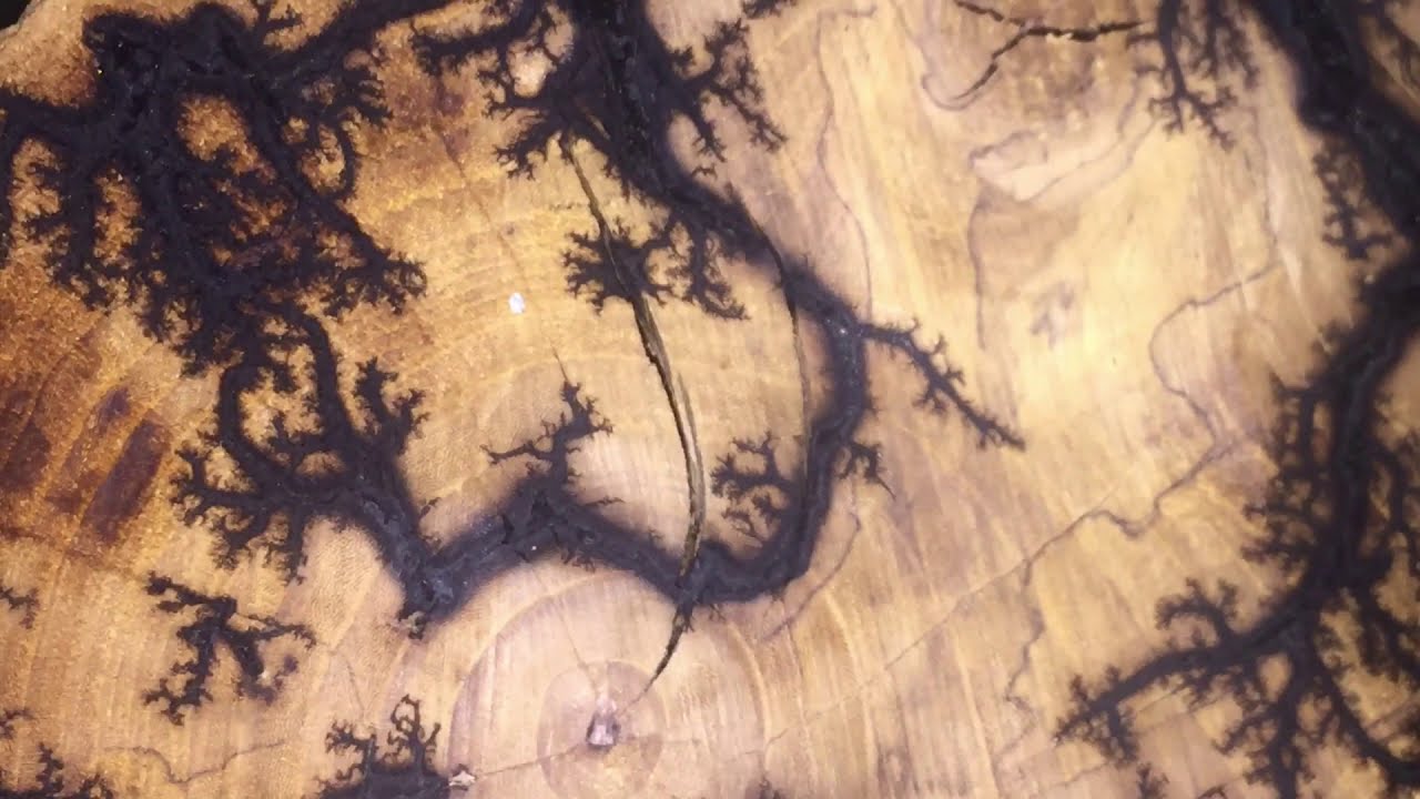 Fractal Lichtenberg Figure Wood Burning with Electricity - YouTube