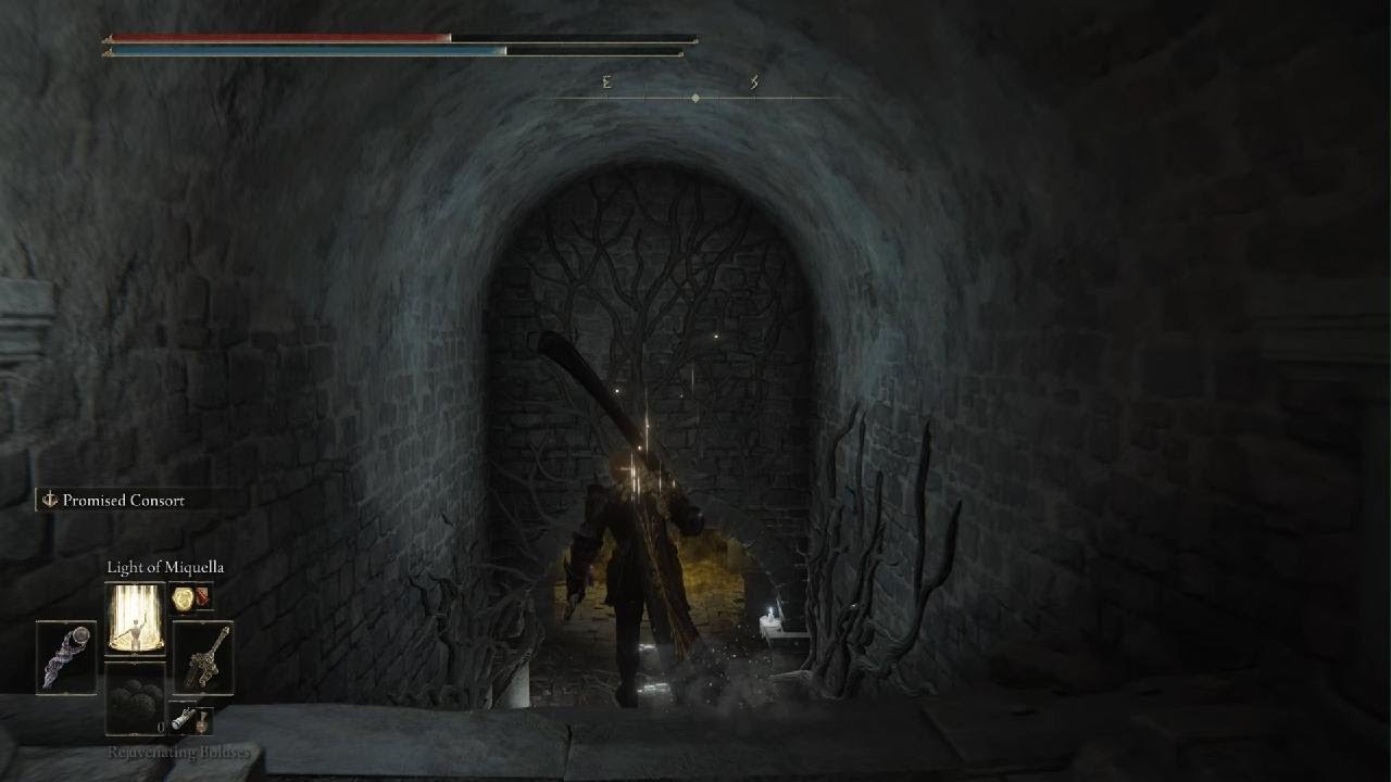 Death Knight in the Scorpion Rise Catacombs (Elden Ring DLC) - YouTube