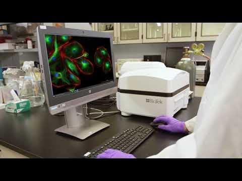 Agilent BioTek Lionheart FX Automated Microscope and Gen5 Microplate Reader and Imager Software ...