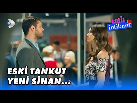 Pelin, Tankut'u Buldu - Tatlı İntikam Özel Klip