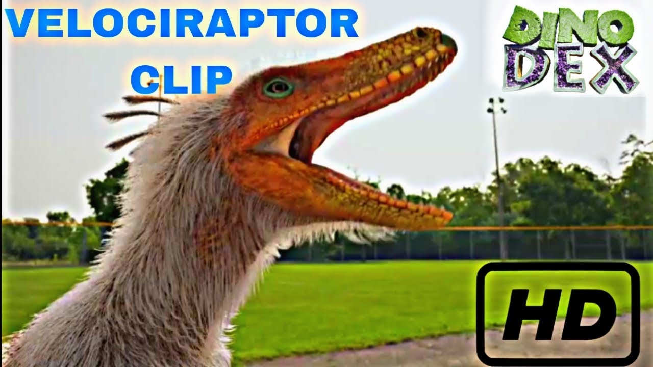 Velociraptor DINO DEX CLIP /Marcos T-rex/ - YouTube