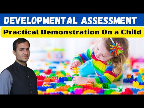 Developmental Assessment - Practical demonstration with complete ...