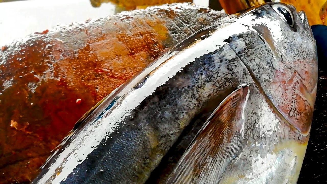 How To Cut Yellow Fin Tuna | Fish Cutting Skills - YouTube