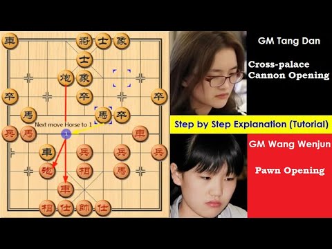 Tang Dan Vs Wang Wenjun - A rare opening move - YouTube