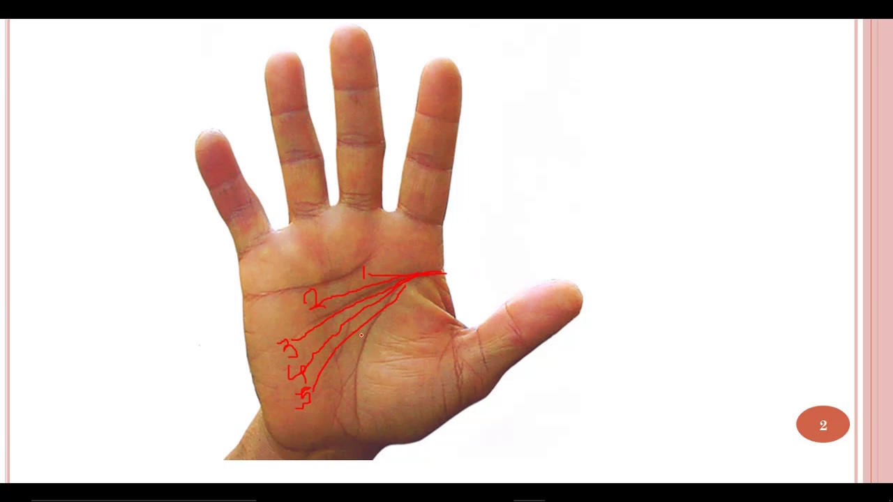Head line In Palmistry | Kya kahti hai Mind line | Palmistry in hindi ...