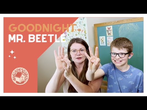 Goodnight Mr. Beetle - THNS: Summer, Week 11: Beetles - YouTube