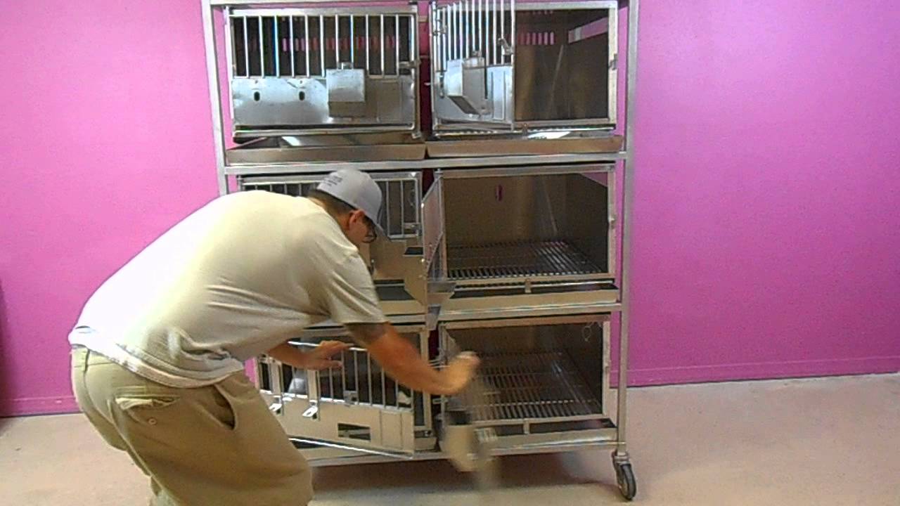 Allentown 6 Bay Modular Stainless Steel 5.2 sq ft Small Animal ...