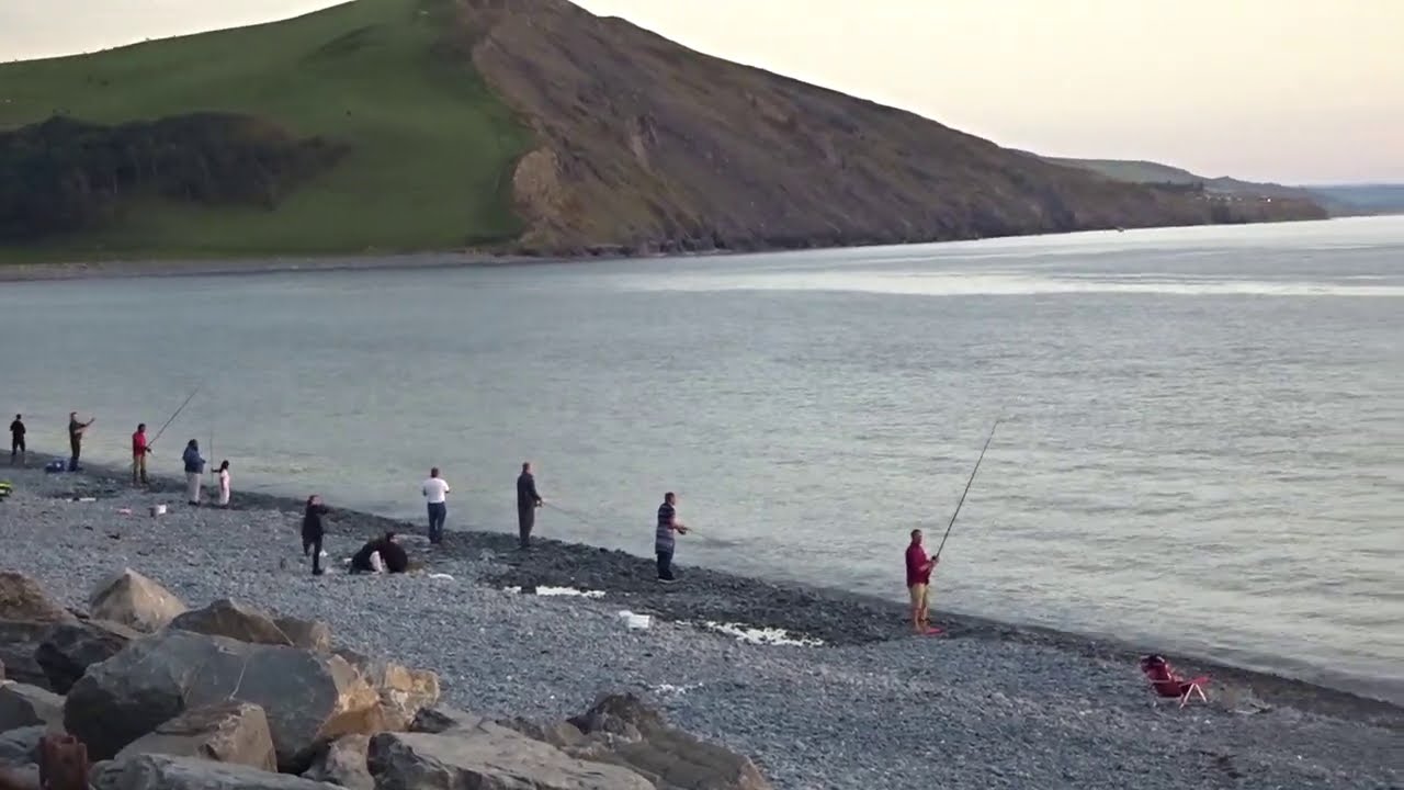 MACKEREL FISHING , Aberystwyth, 31 8 2020. - YouTube