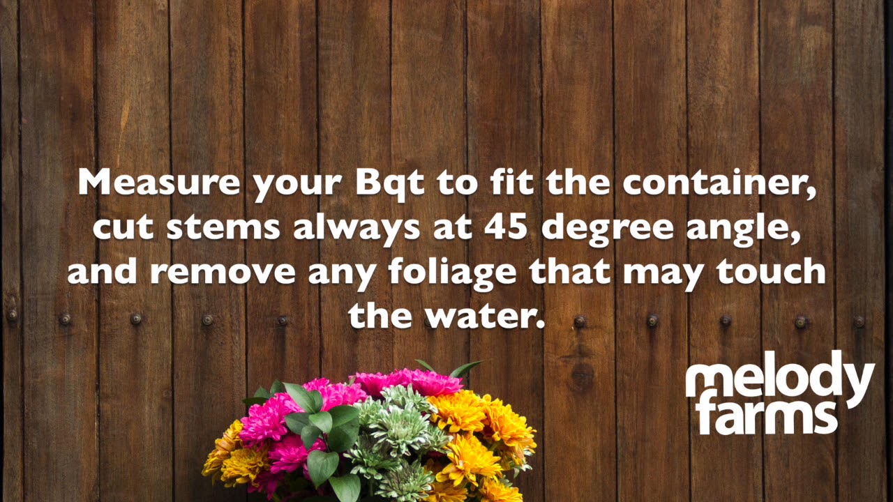 Pick Up box Melody Farms - YouTube