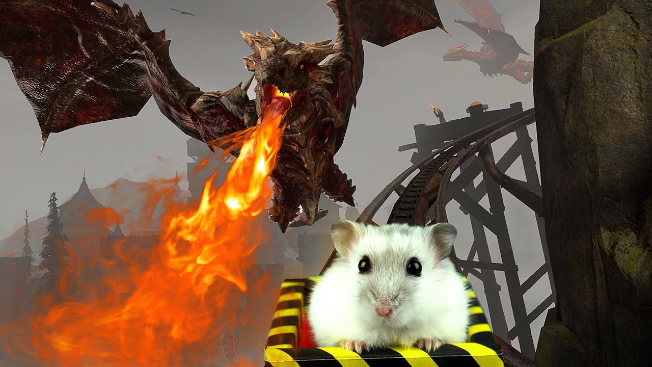 Hamster in Roller Coaster with Fire Breathing Dragon - YouTube