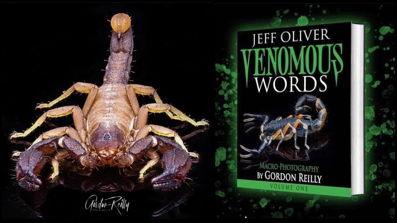 Venomous Words - Discussing the NEW Book w/ Venom Macro - YouTube