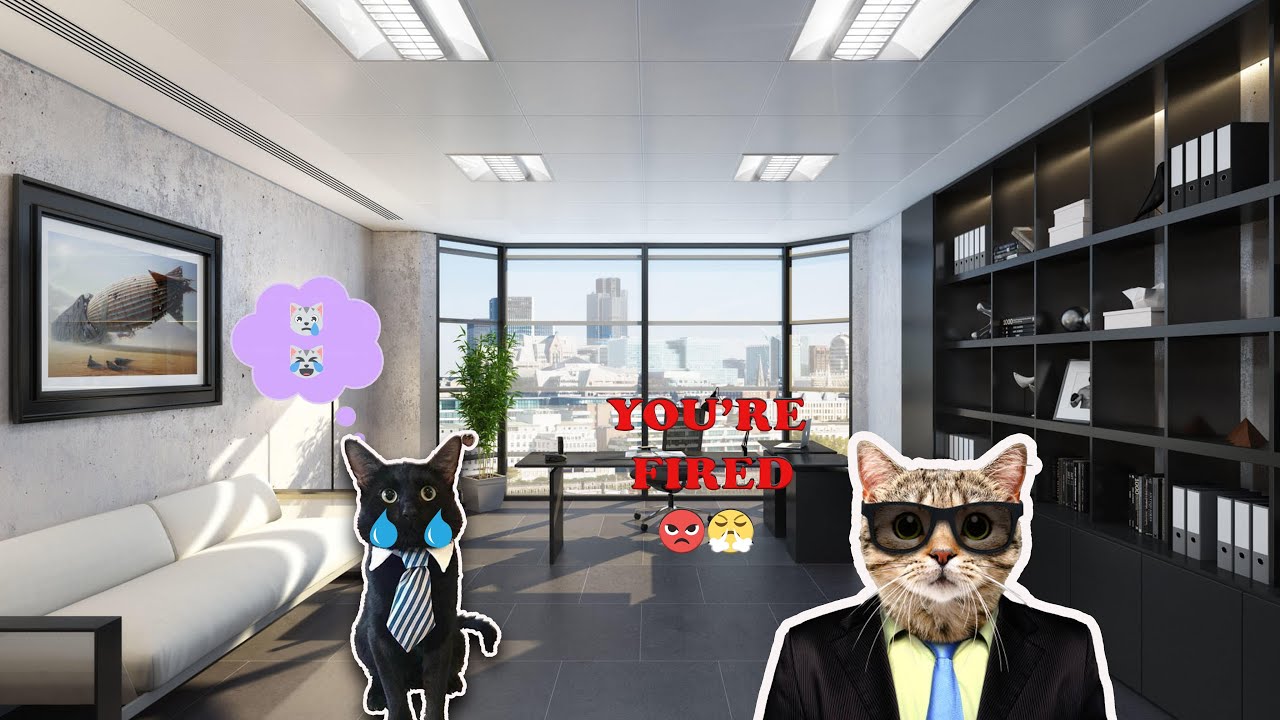 A Cute Cat Got Fired 😿🥺 - YouTube
