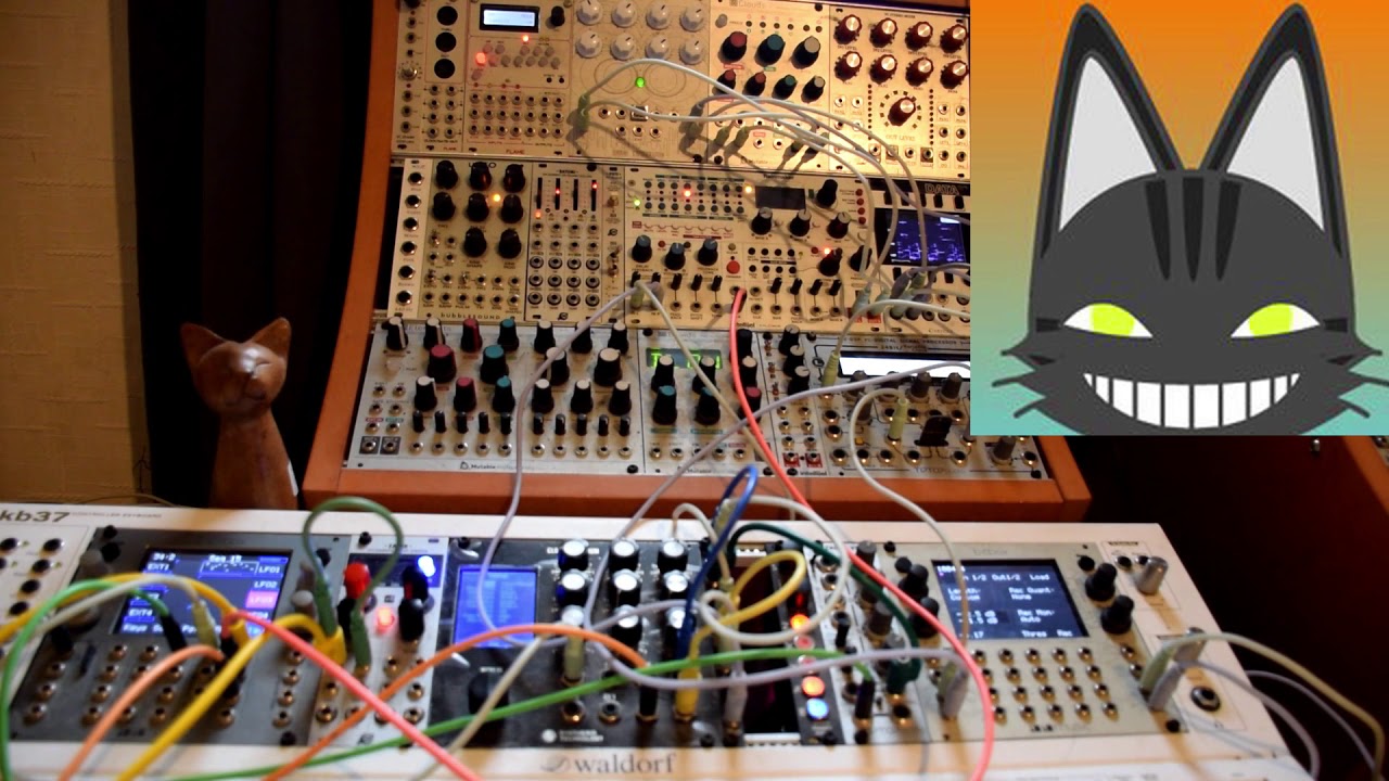 Eurorack Modular - Sunday Morning Synthesis Technology E352 Cloud Terrarium - YouTube