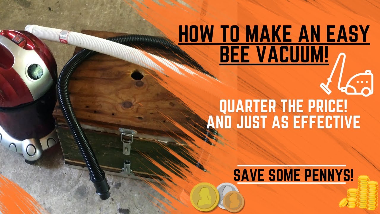 A tutorial on how to make a simple bee vacuum - YouTube