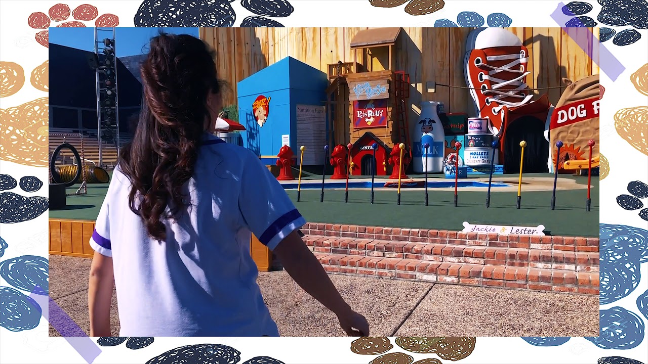 My Final Pets Rule Show Performance at Sea World San Diego - YouTube