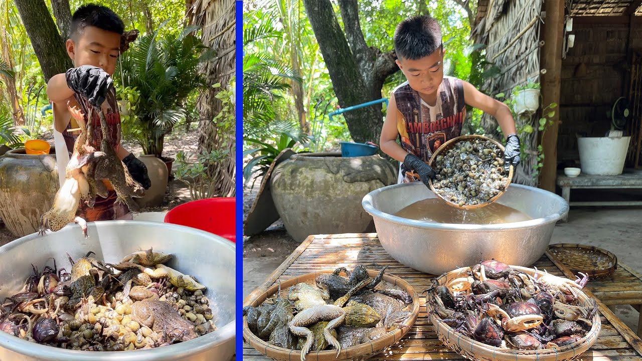 Countryside chef cook frog, crab and river snail - Seyhak cook and ...