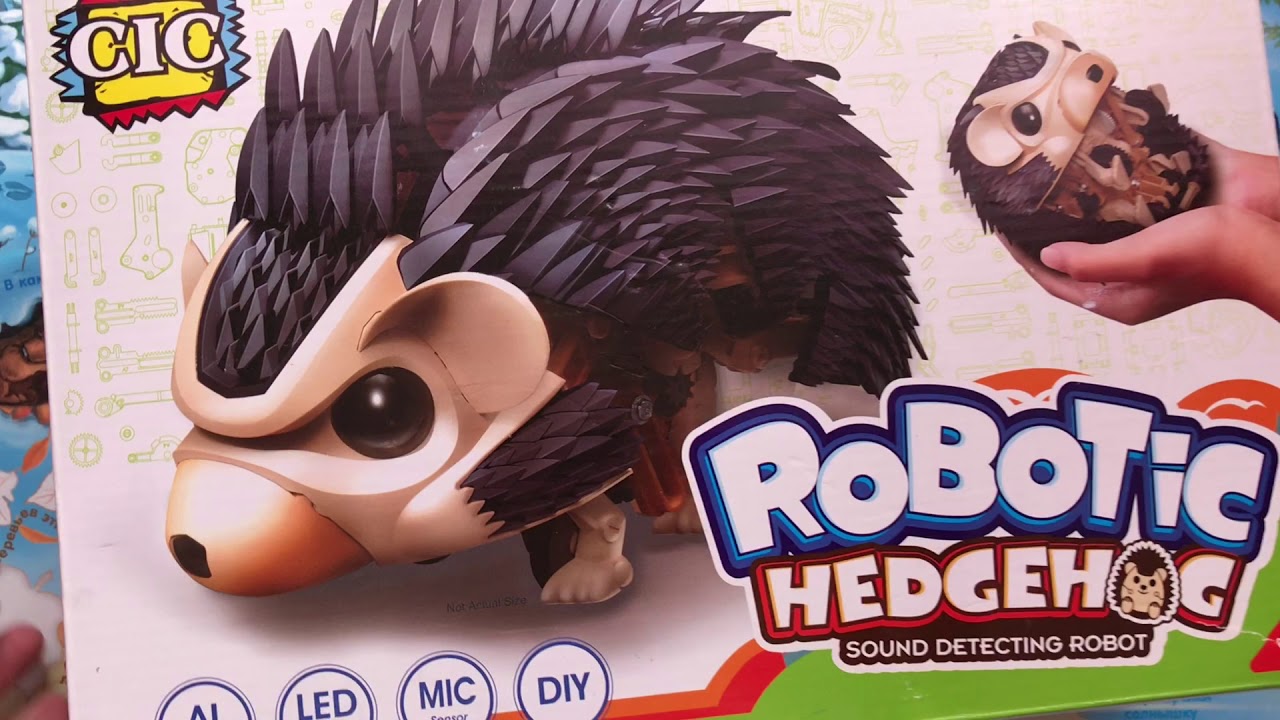 Robotic Hedgehog - YouTube