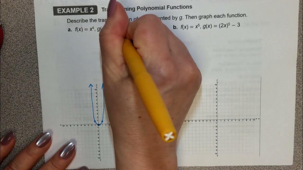 Transformations of Polynomial Functions - YouTube
