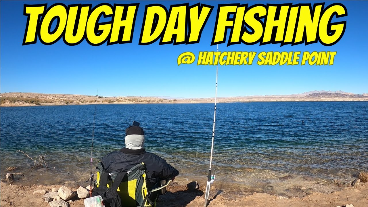Tough Day Fishing at Hatchery Saddle Point | Lake Mead Bank Fishing ...