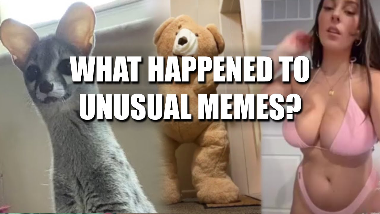 What Happened To UnusualVideos (Unusual Meme Compilation) - YouTube