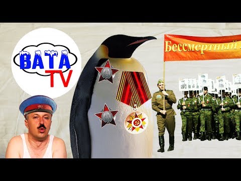 Как Россия Бессмертные Полки водила